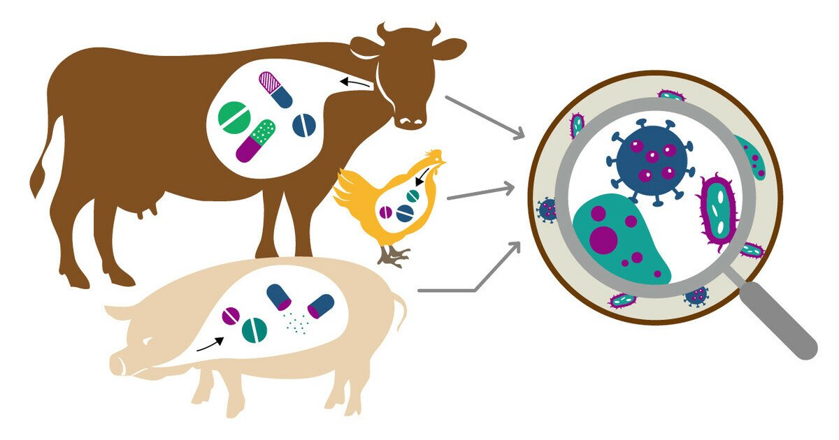 Consumers Animals Clipart Cartoon