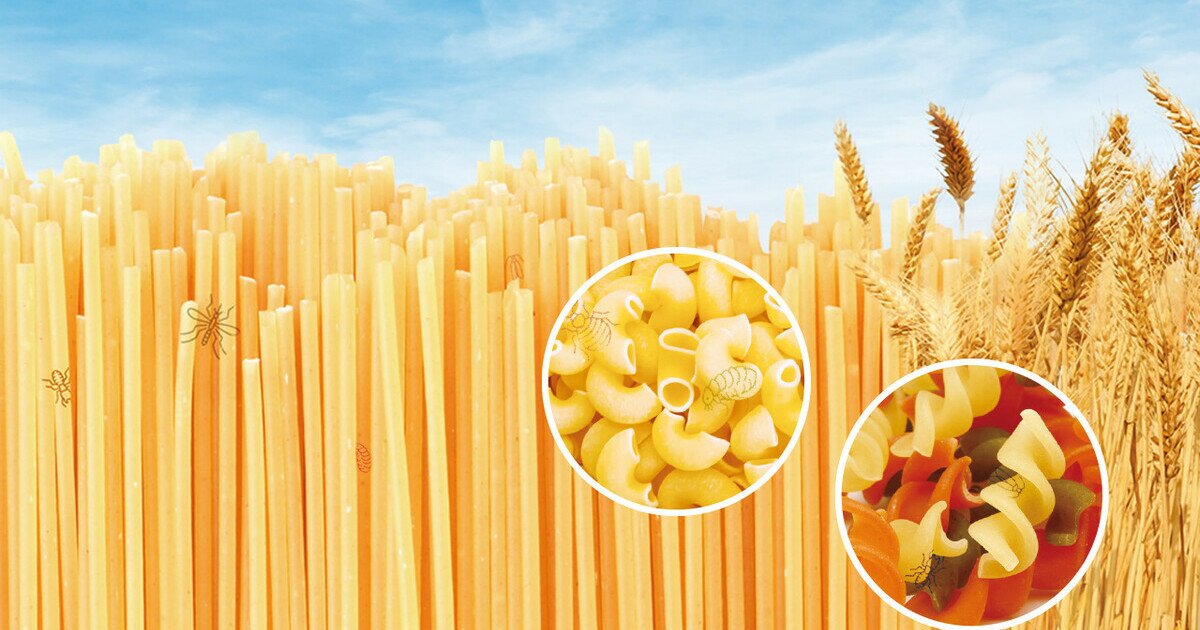 Mycotoxins, Pesticides or Various Foreign Matter Detected in 35 Samples ...